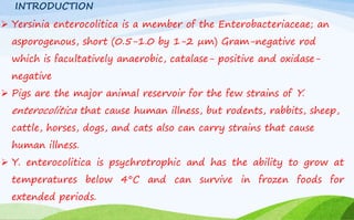 Yersinia entero | PPTX