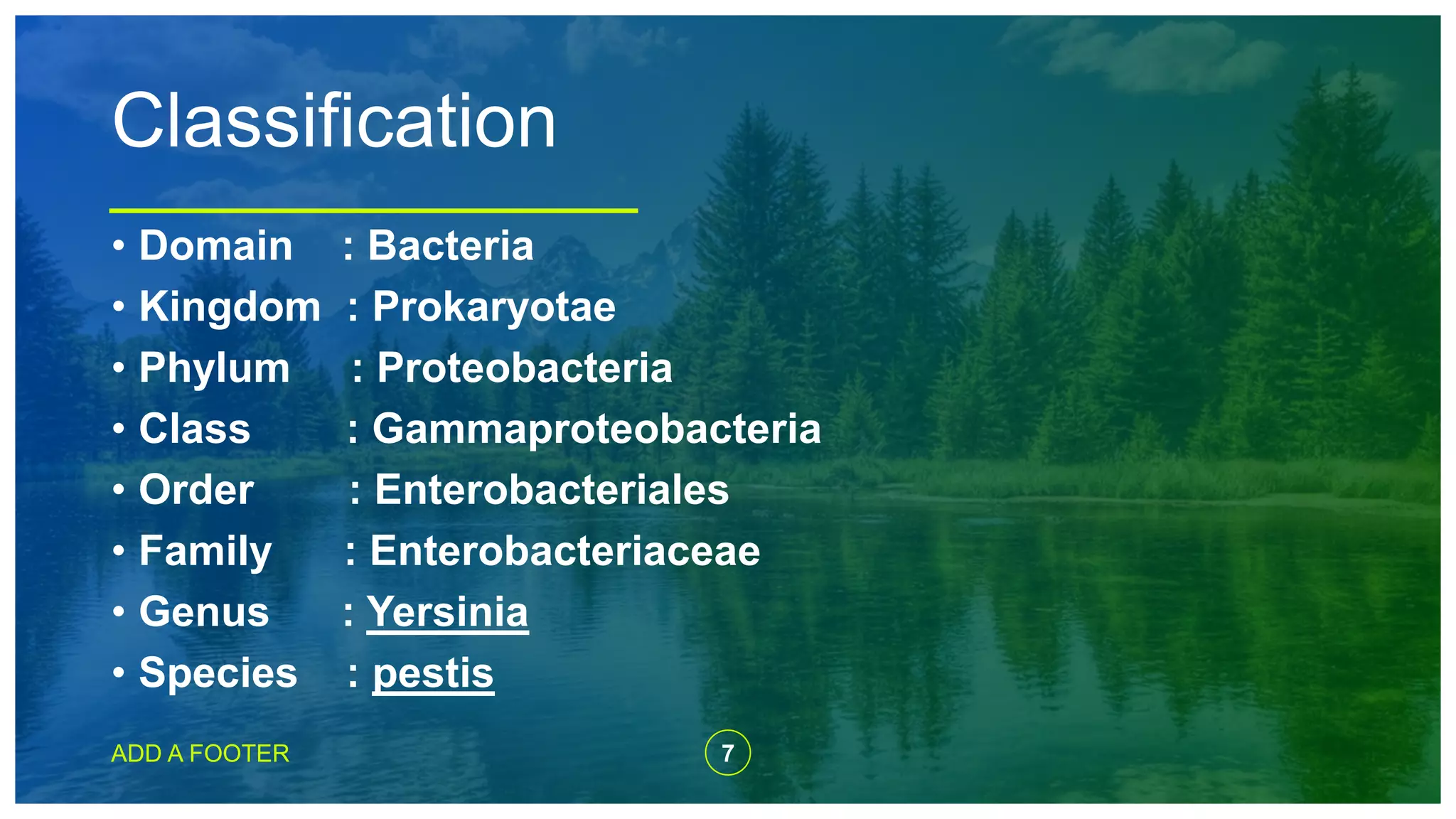 Yersinia pestis presentation | PPTX