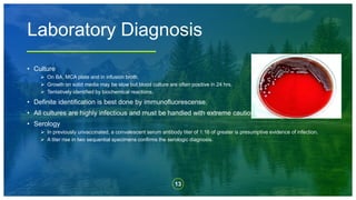 Yersinia pestis presentation | PPTX