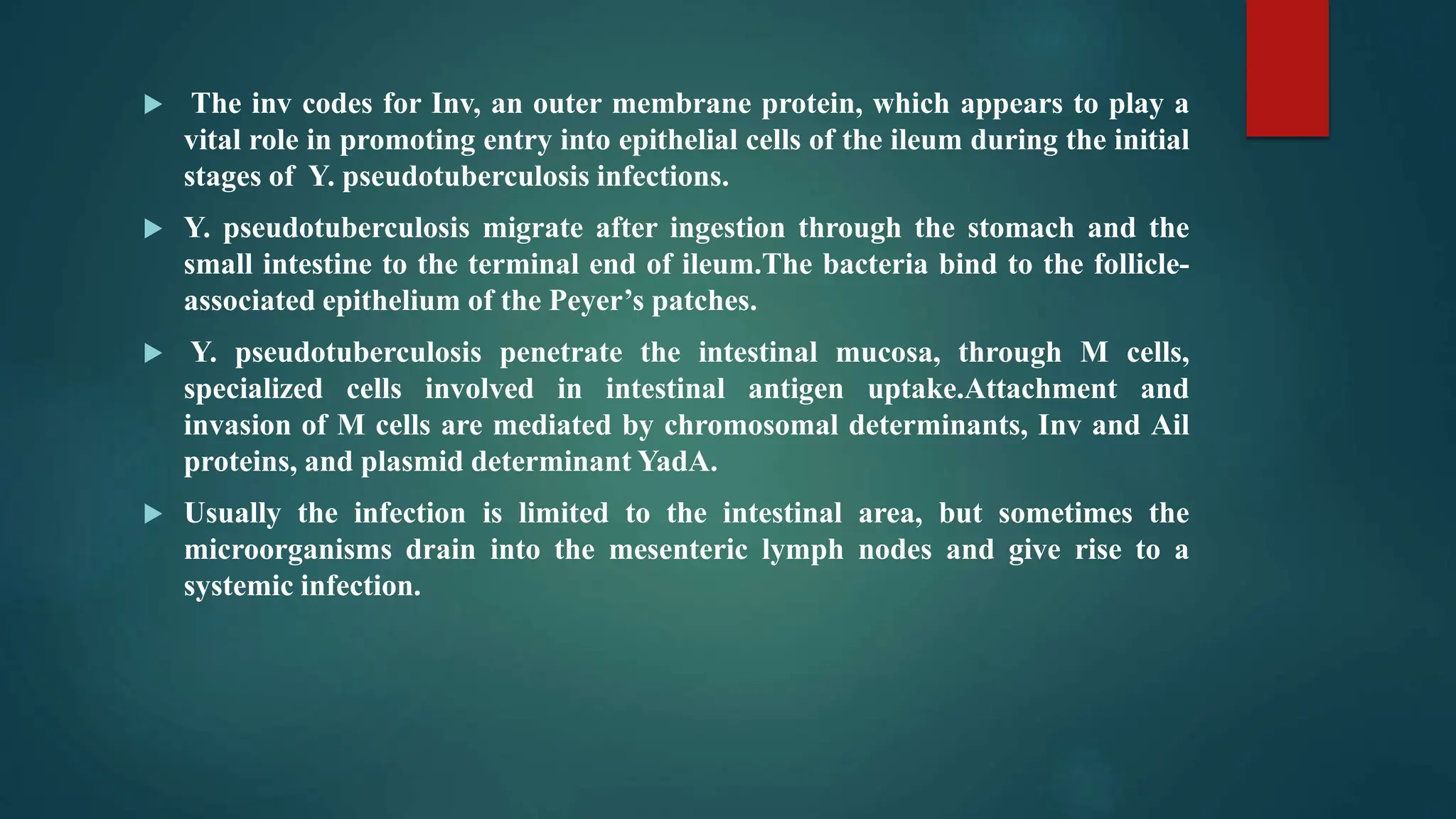 BACTERIOLOGY YERSINIA PSEUDOTUBERCULOSIS.pptx