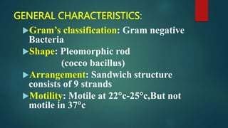 BACTERIOLOGY YERSINIA PSEUDOTUBERCULOSIS.pptx
