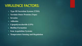 BACTERIOLOGY YERSINIA PSEUDOTUBERCULOSIS.pptx