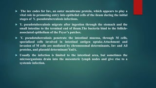 BACTERIOLOGY YERSINIA PSEUDOTUBERCULOSIS.pptx