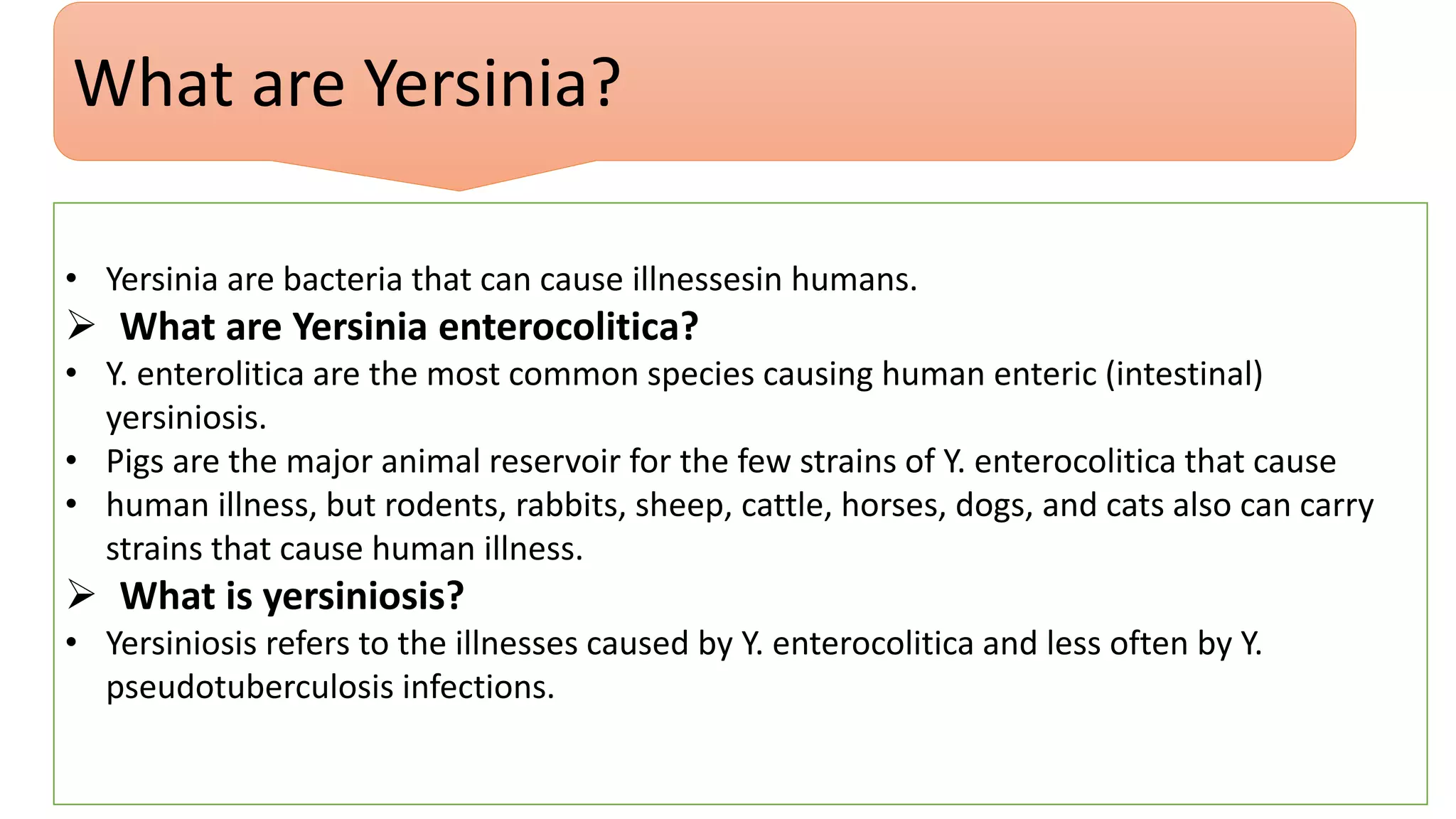 Yersinosis | PPTX