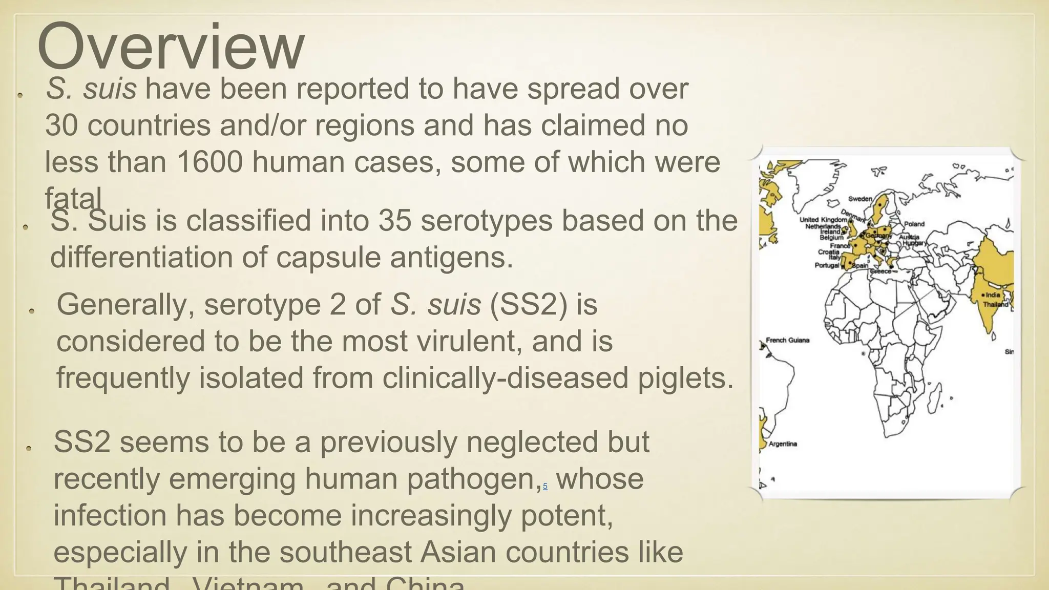 YERSINIOSIS, STREPTOCOCCUS SUIS, GLANDERS.pptx