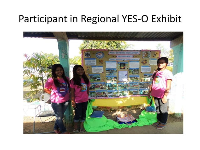 YES-O ACTIVITIES AND OTHER PNHS UPDATES 2013-2014 | PPTX