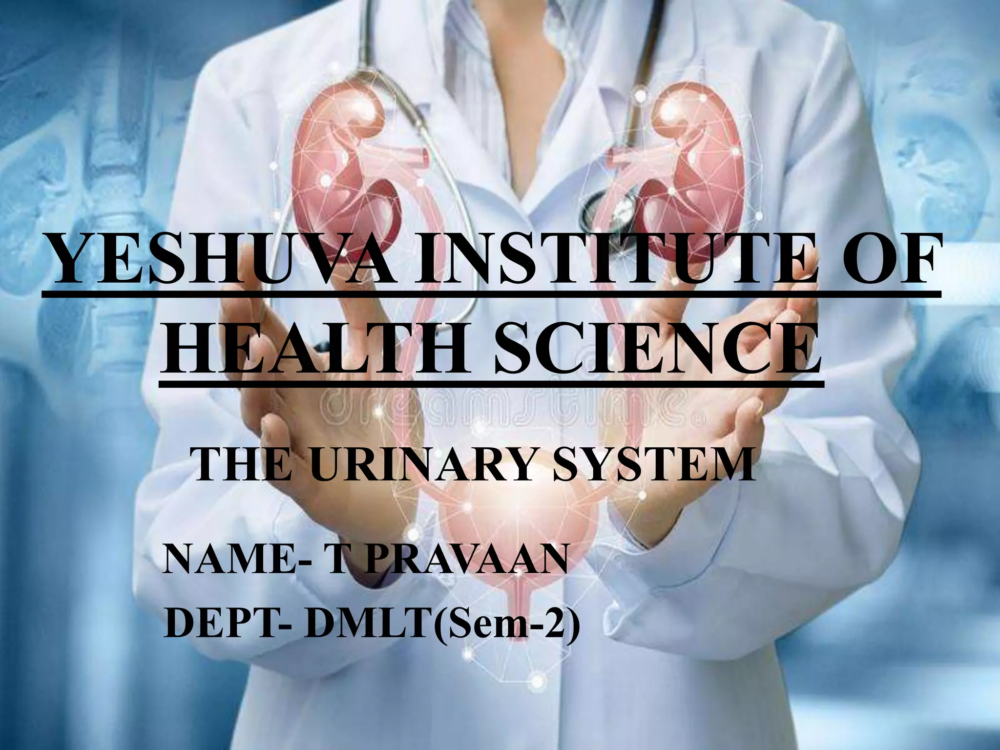 THE URINARY SYSTEM | PPT