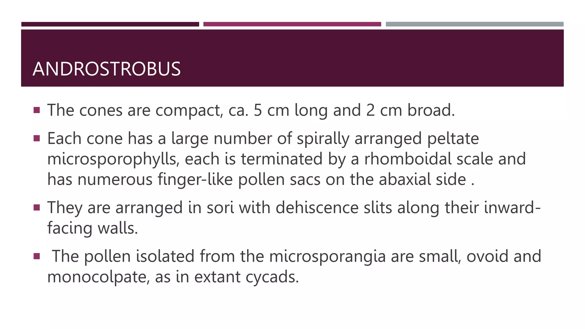 Fossil history of cycdales | PPTX