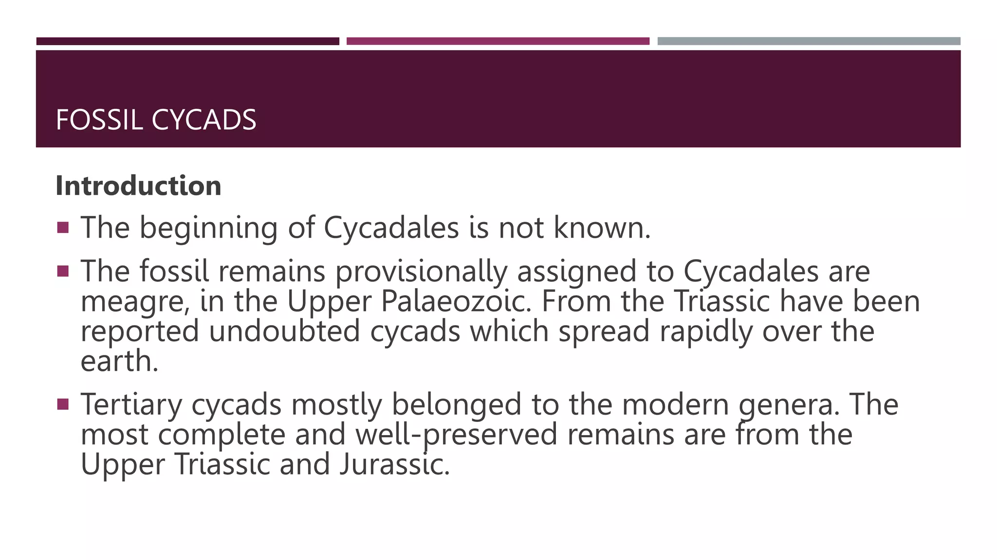 Fossil history of cycdales | PPTX