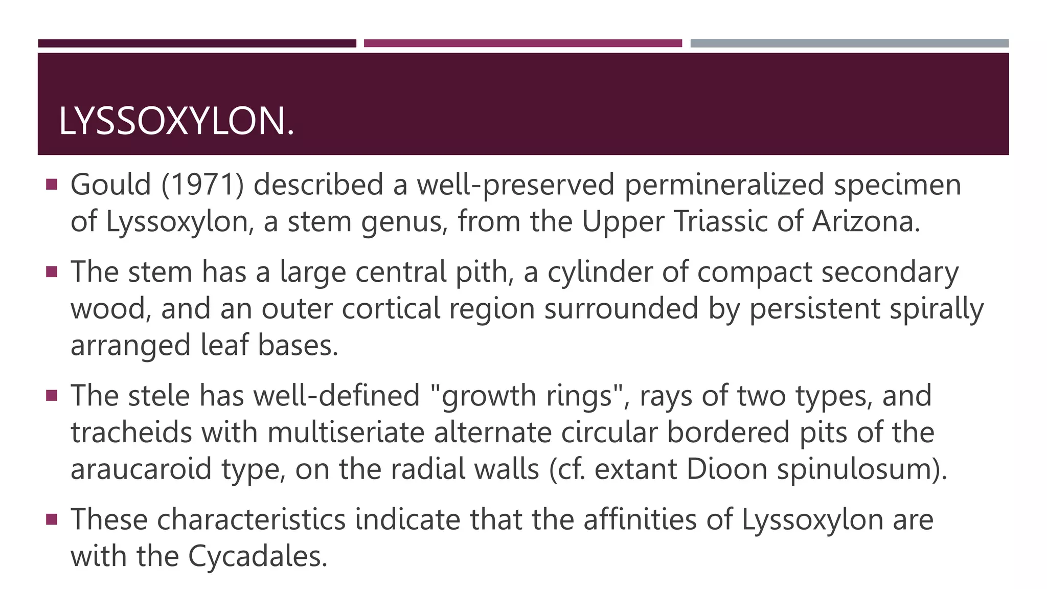 Fossil history of cycdales | PPTX