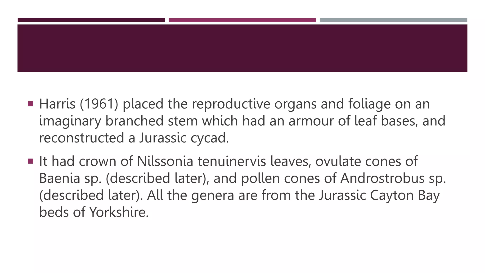 Fossil history of cycdales | PPTX