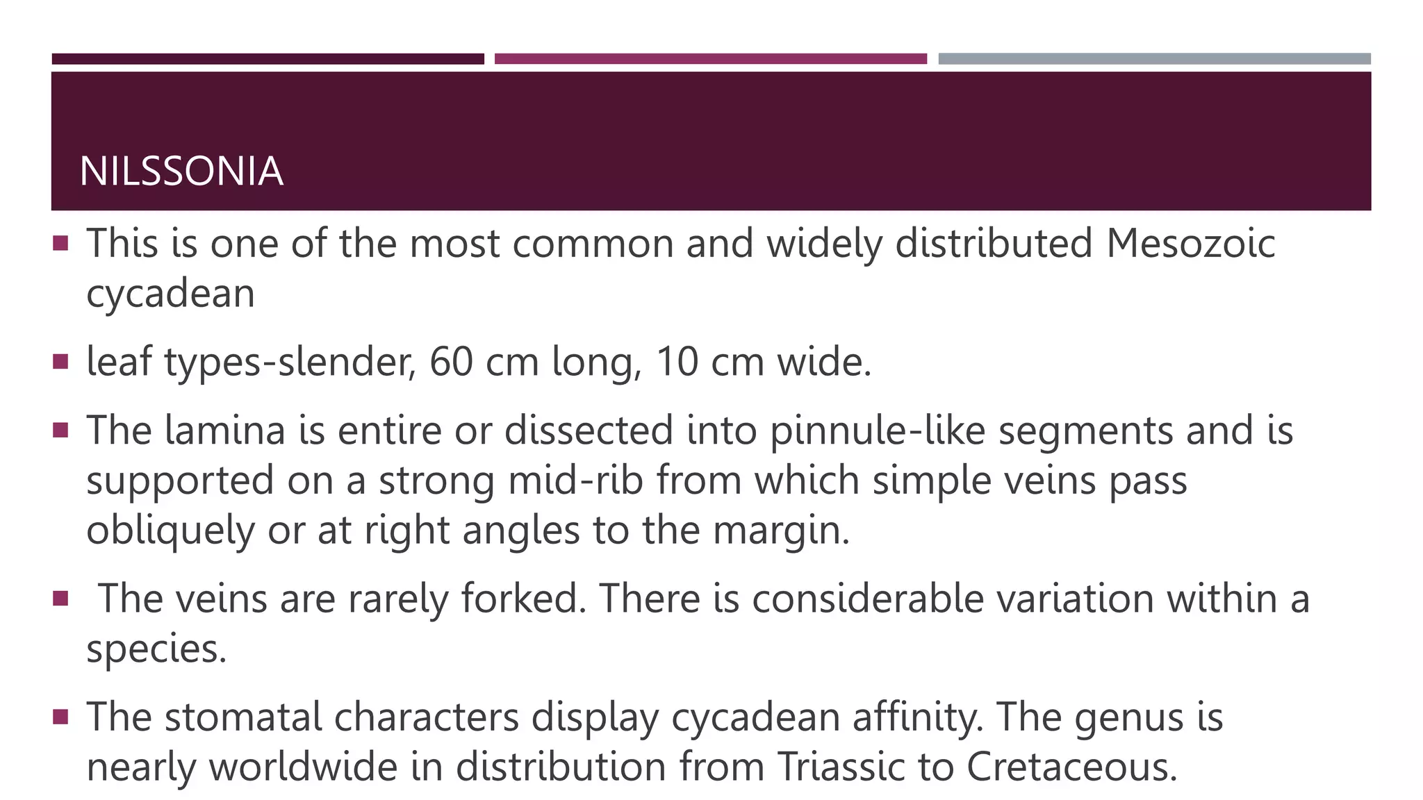 Fossil history of cycdales | PPTX