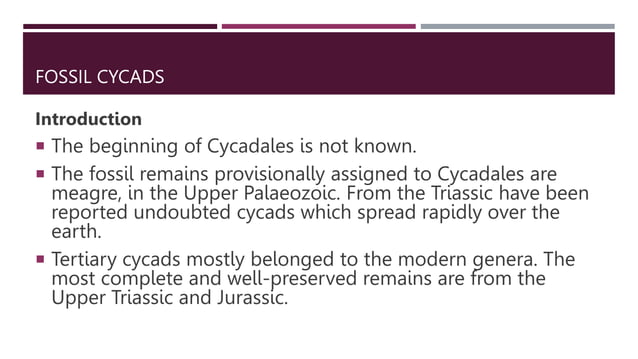 Fossil history of cycdales | PPTX | Geology | Science
