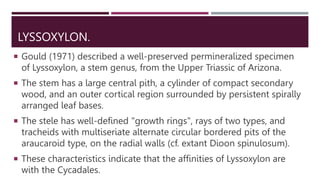 Fossil history of cycdales | PPTX