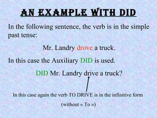 Yes no questions | PPT