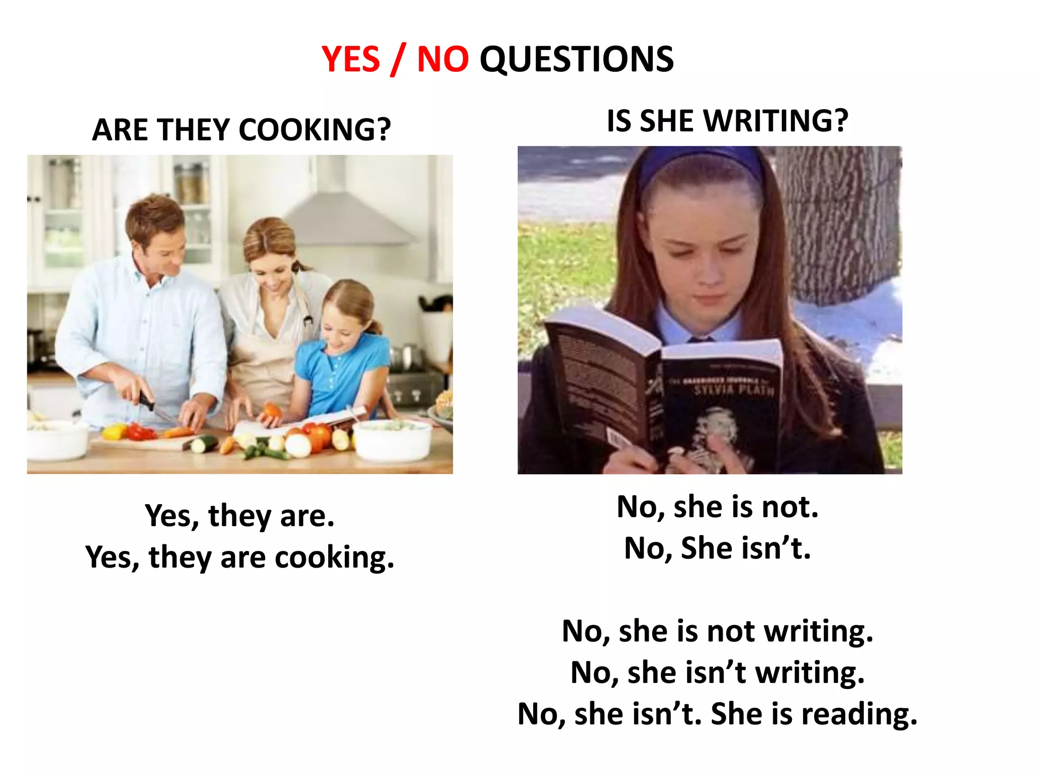 Yes no questions | PPT