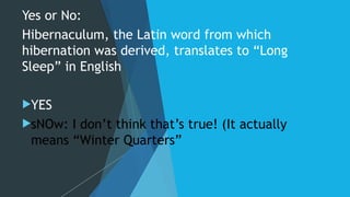 Yes or sNOw Winter Trivia Game for Icebreaker | PPTX