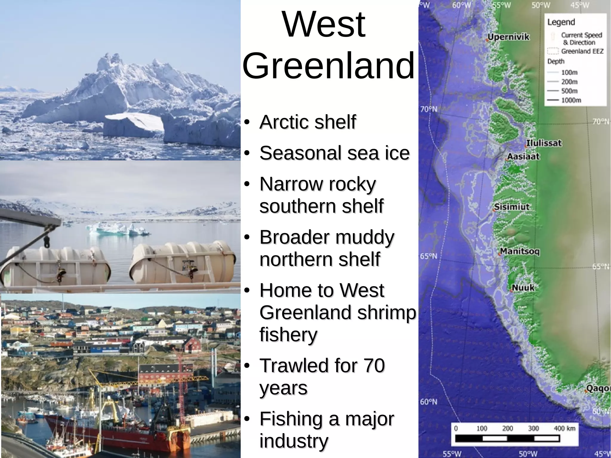 The Benthos of the West Greenland Shelf: Distribution, composition and ...