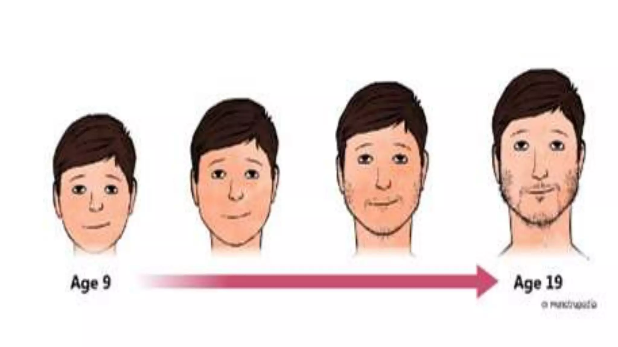 Stages and Signs of Puberty | PPTX