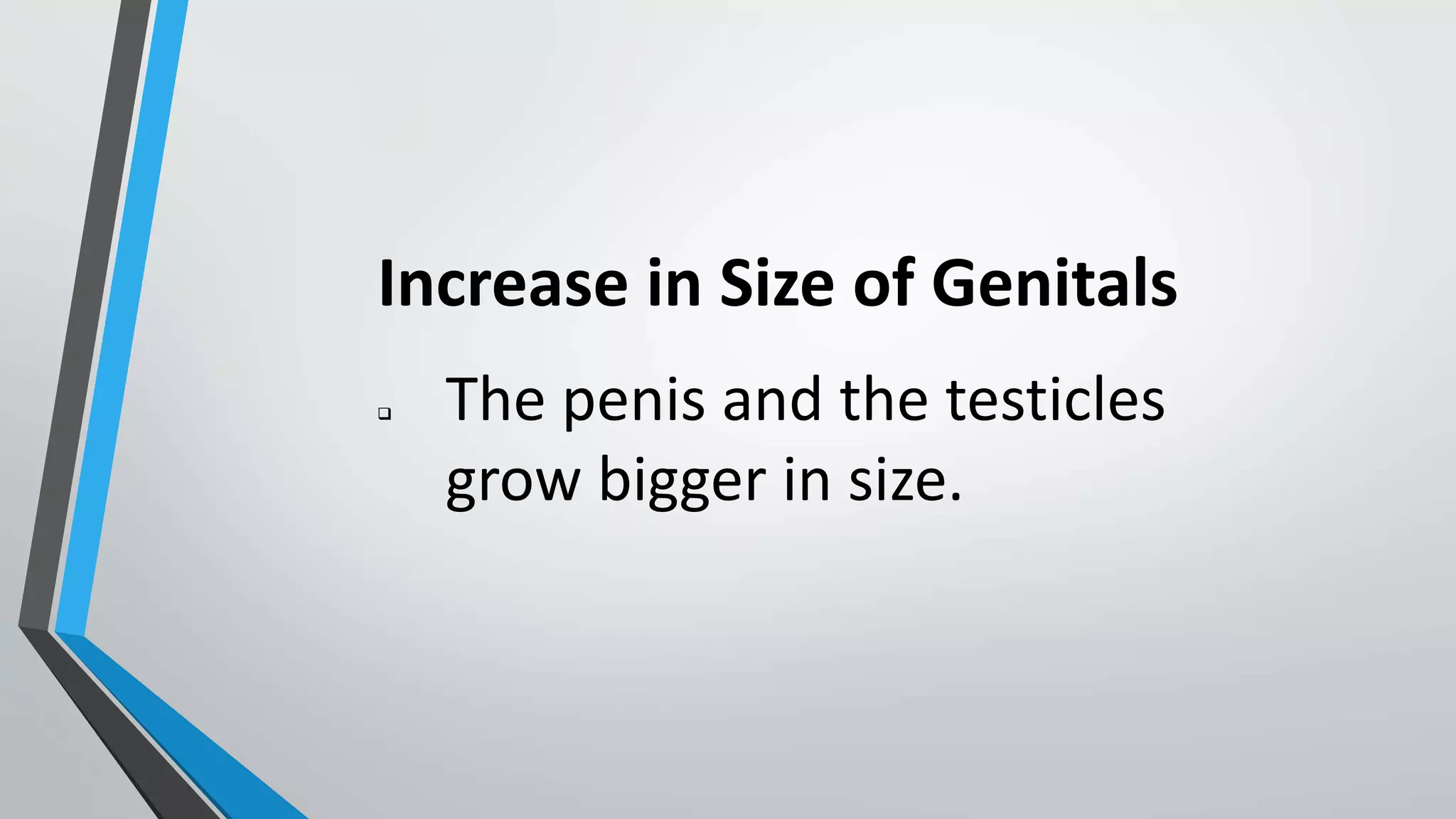 Stages And Signs Of Puberty Pptx
