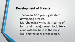Stages and Signs of Puberty | PPTX