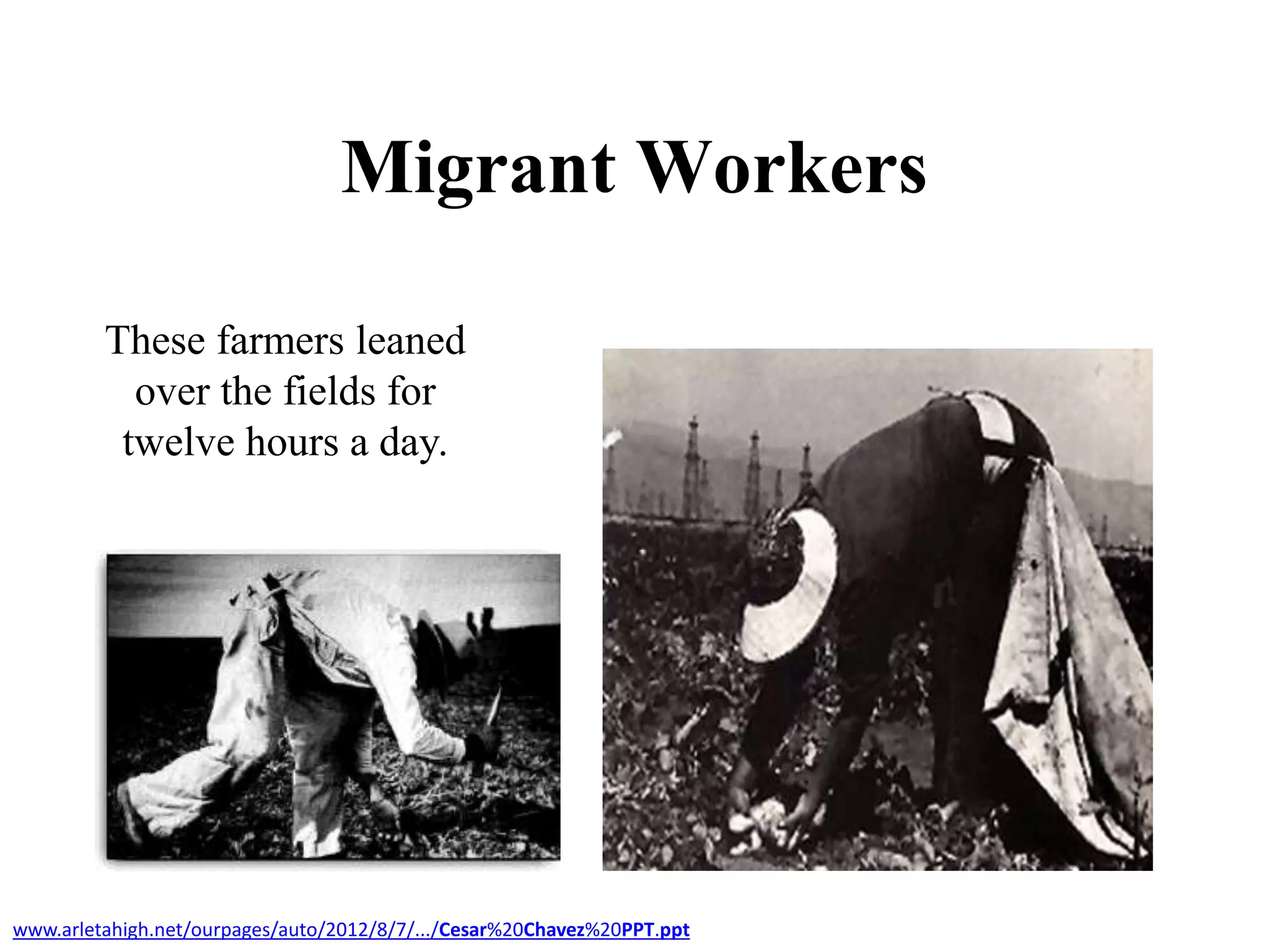 Yes we can cesar chavez ppt | PPTX