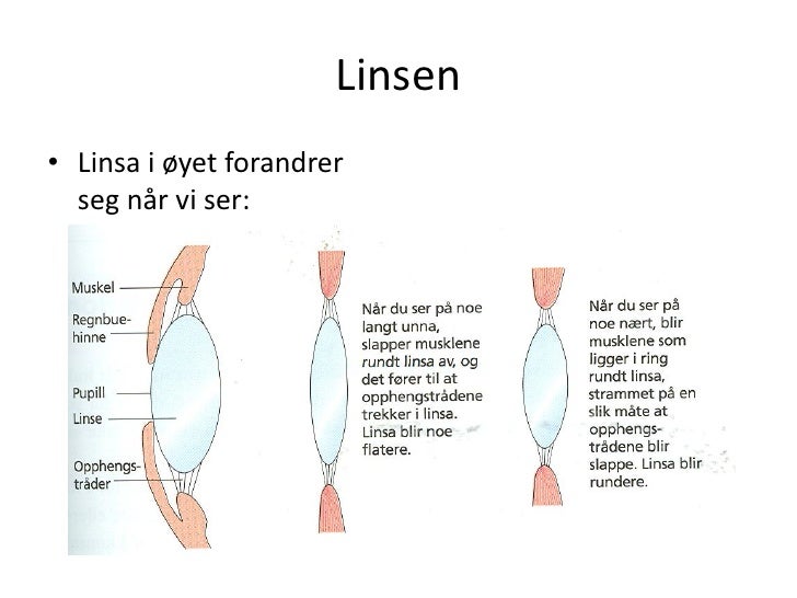 November | 2018 | Site Title