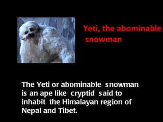 Yeti | PPT