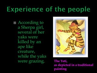 Yeti | PPTX