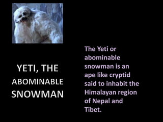 Yeti | PPTX