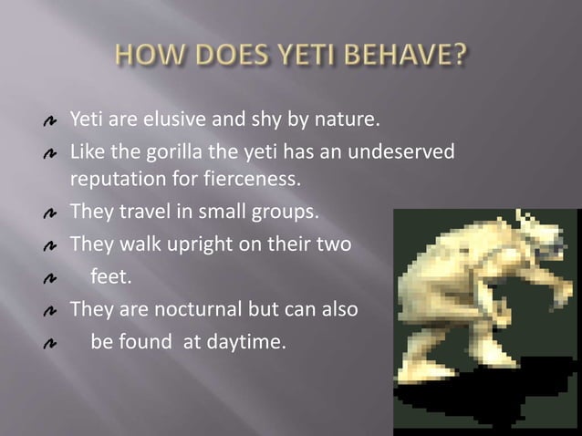 Yeti | PPTX