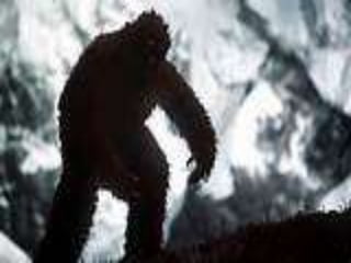 Yeti | PPT | Free Download