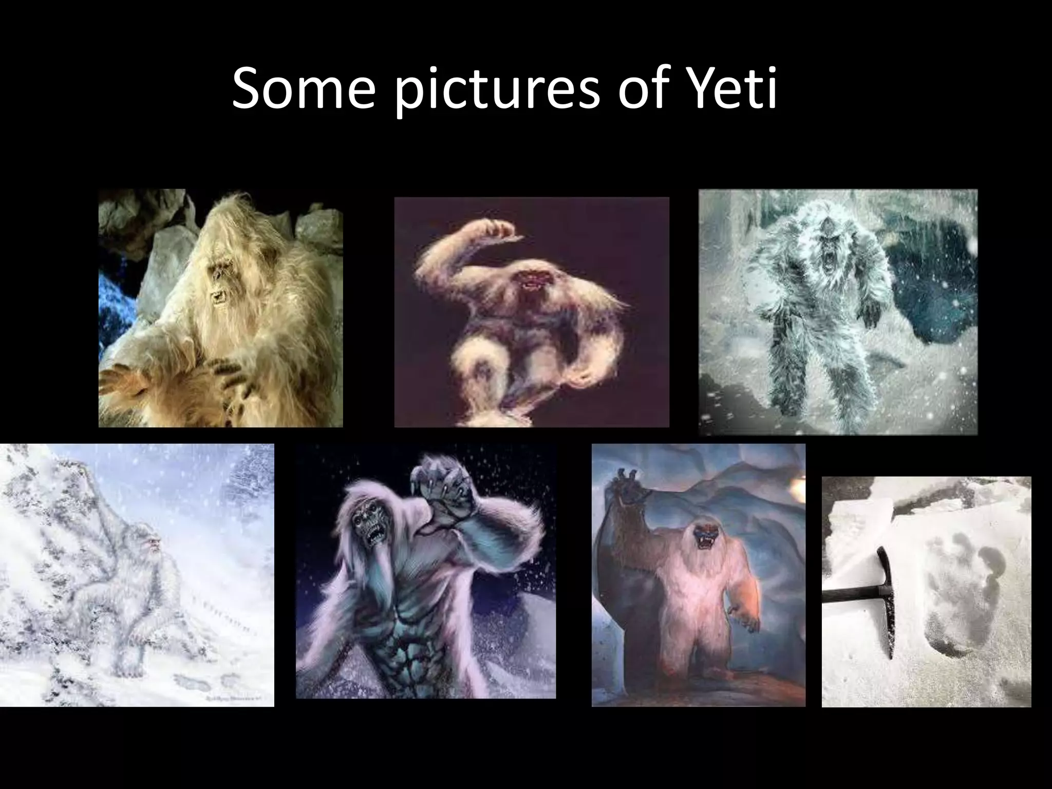 Yeti ppt | PPTX