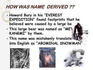 Yeti ppt | PPTX