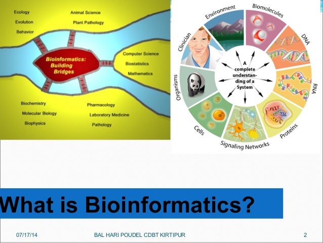 1.bioinformatics introduction 32.03.2071