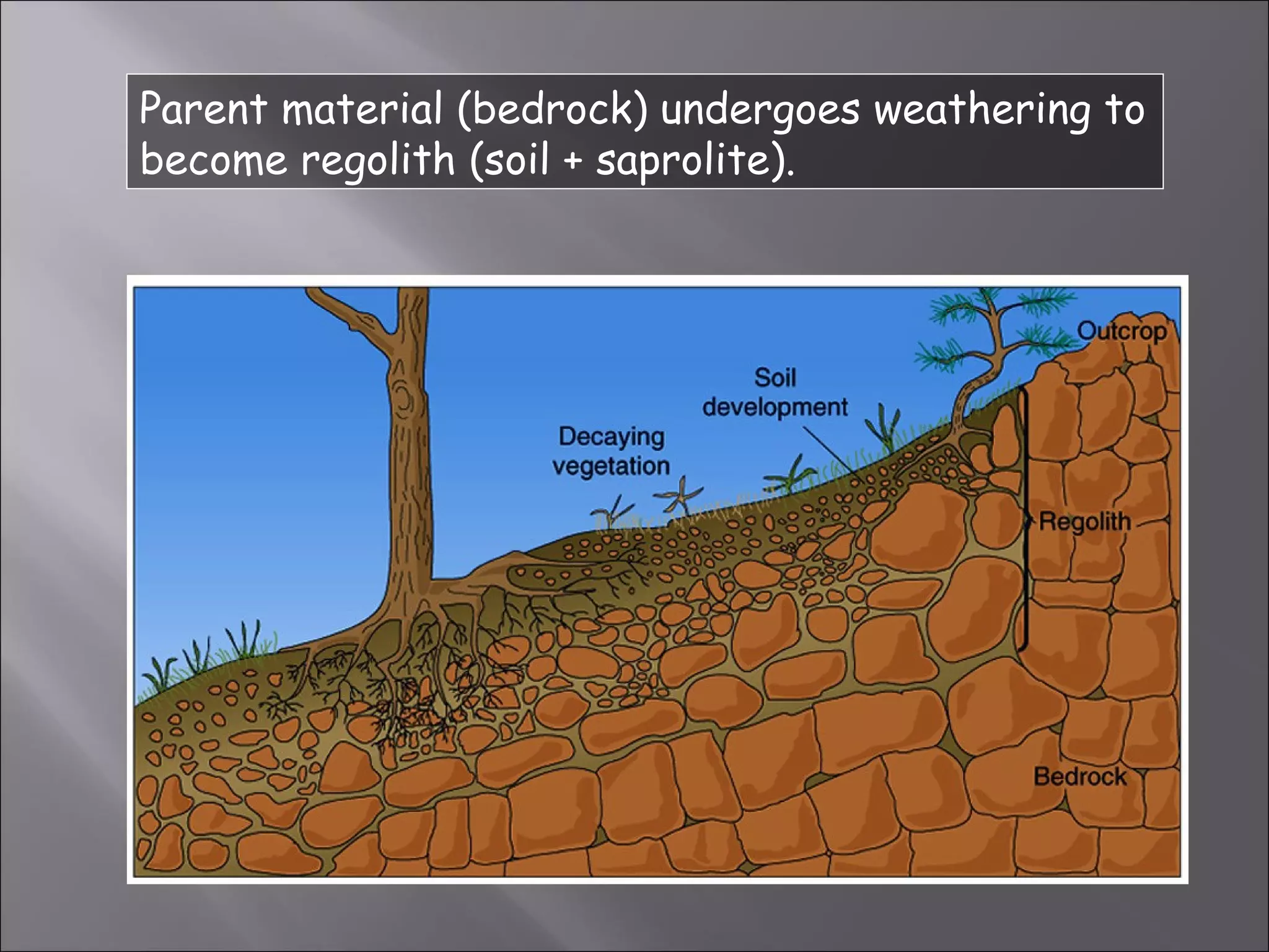 Soil(3) | PPT