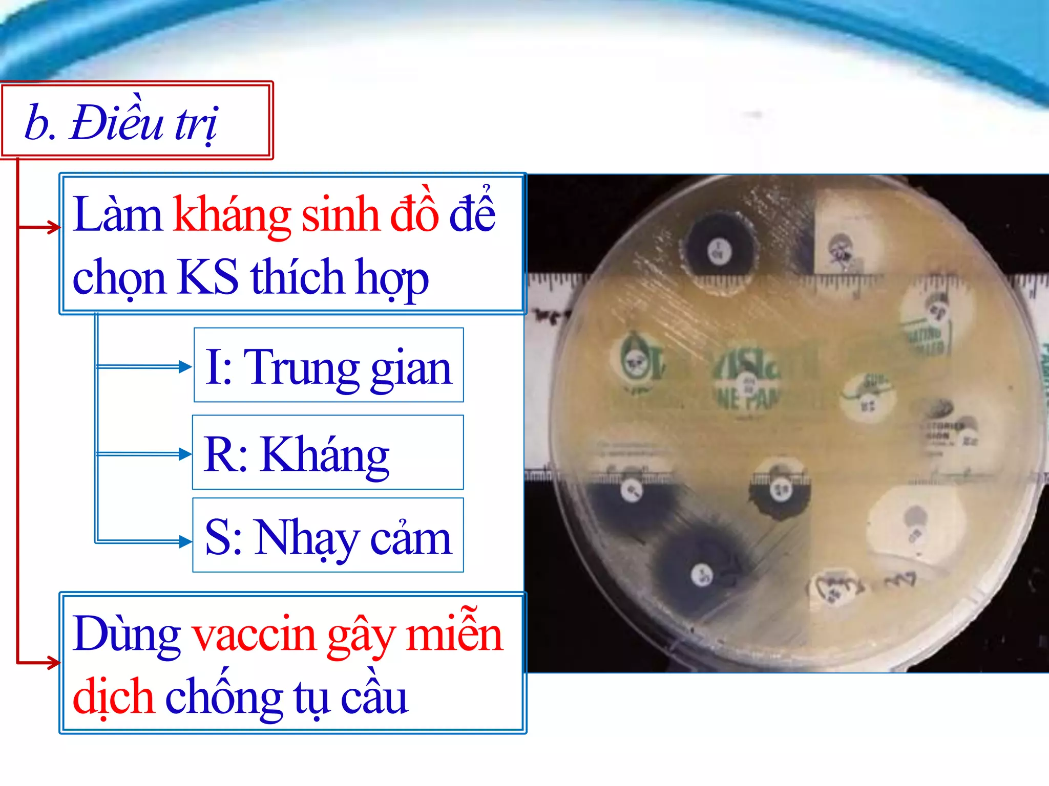 Dai Cuong Vi Sinh | PDF
