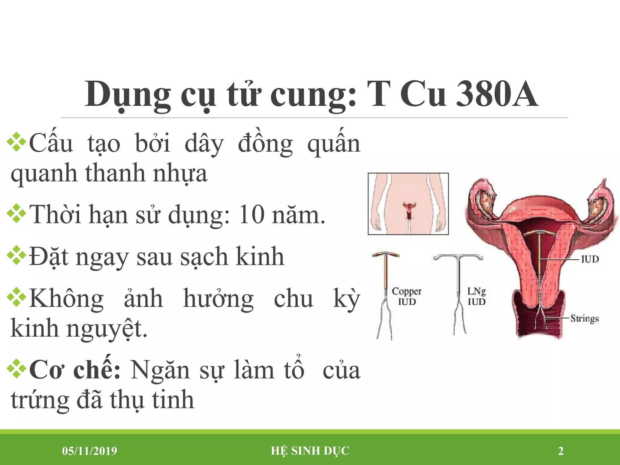 Benh hoc he sinh duc | PDF