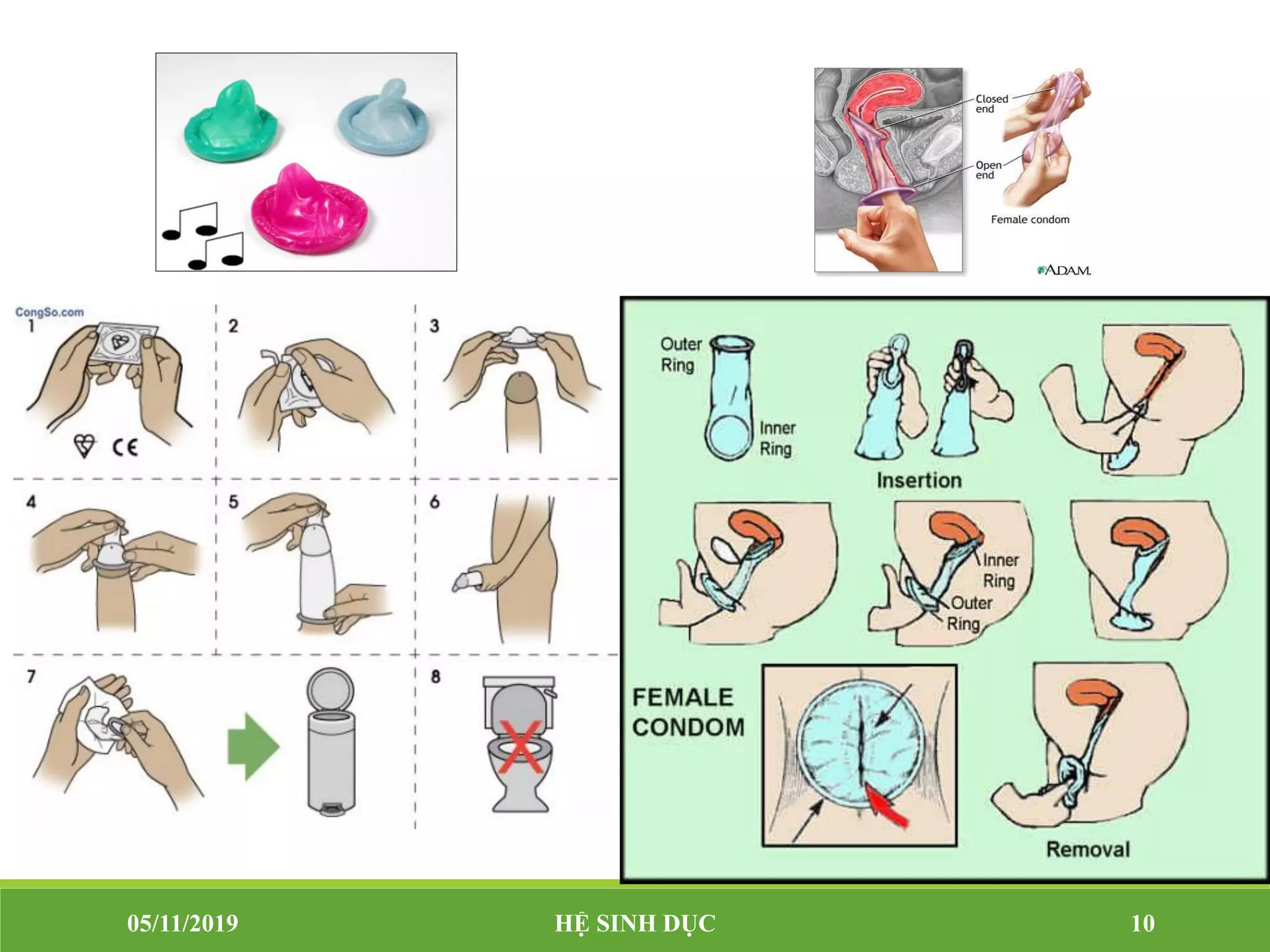 Benh hoc he sinh duc | PDF