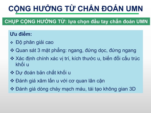 YHHN-3.-Nguyen-Thanh-Hung.-Hinh-anh-CHT-u-mang-nao(2).pdf