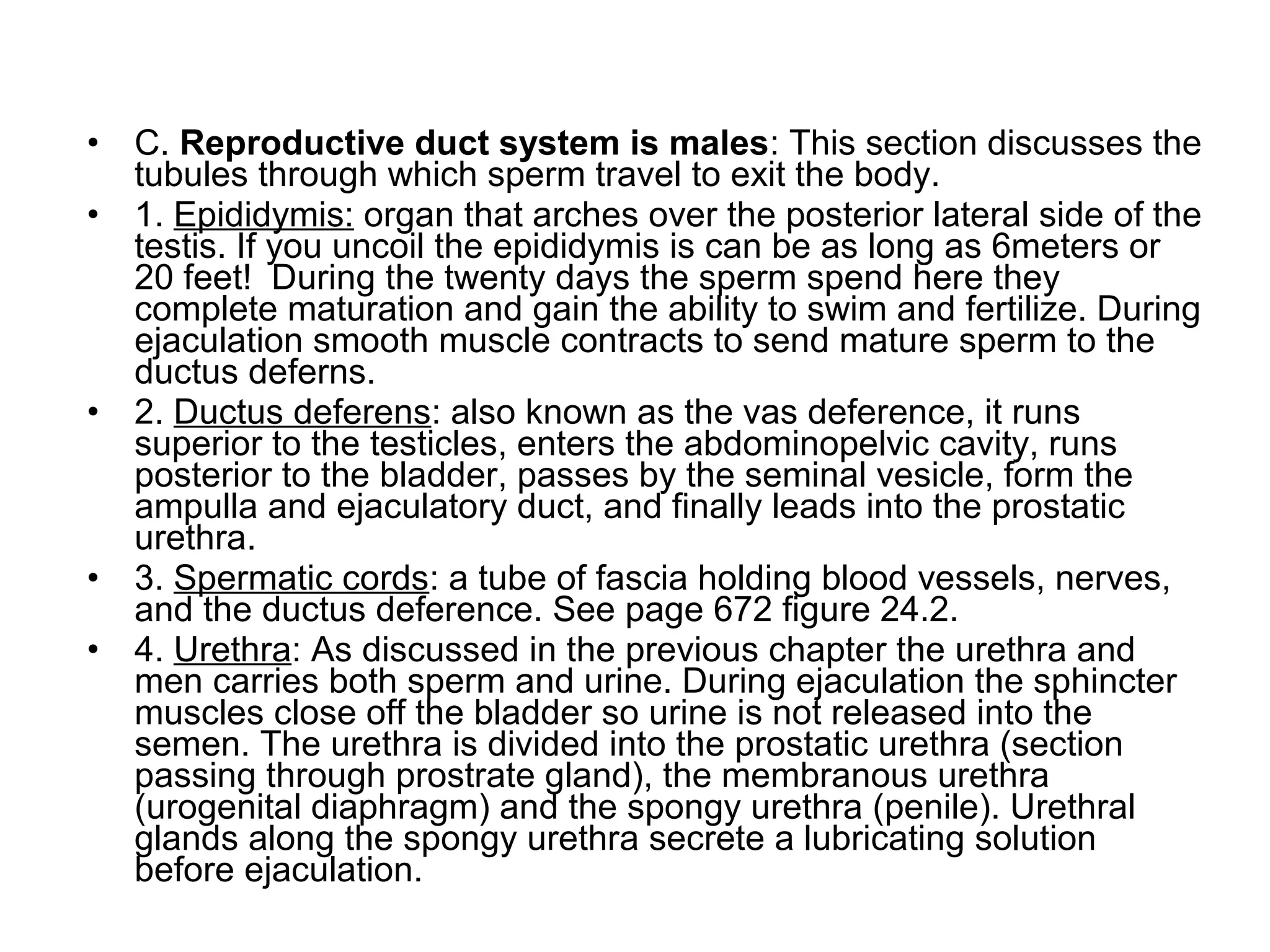 Reproductive sys a&p | PPT