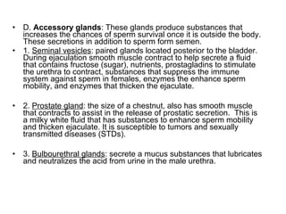 Reproductive sys a&p | PPT