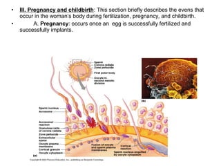 Reproductive sys a&p | PPT