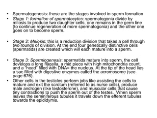 Reproductive sys a&p | PPT