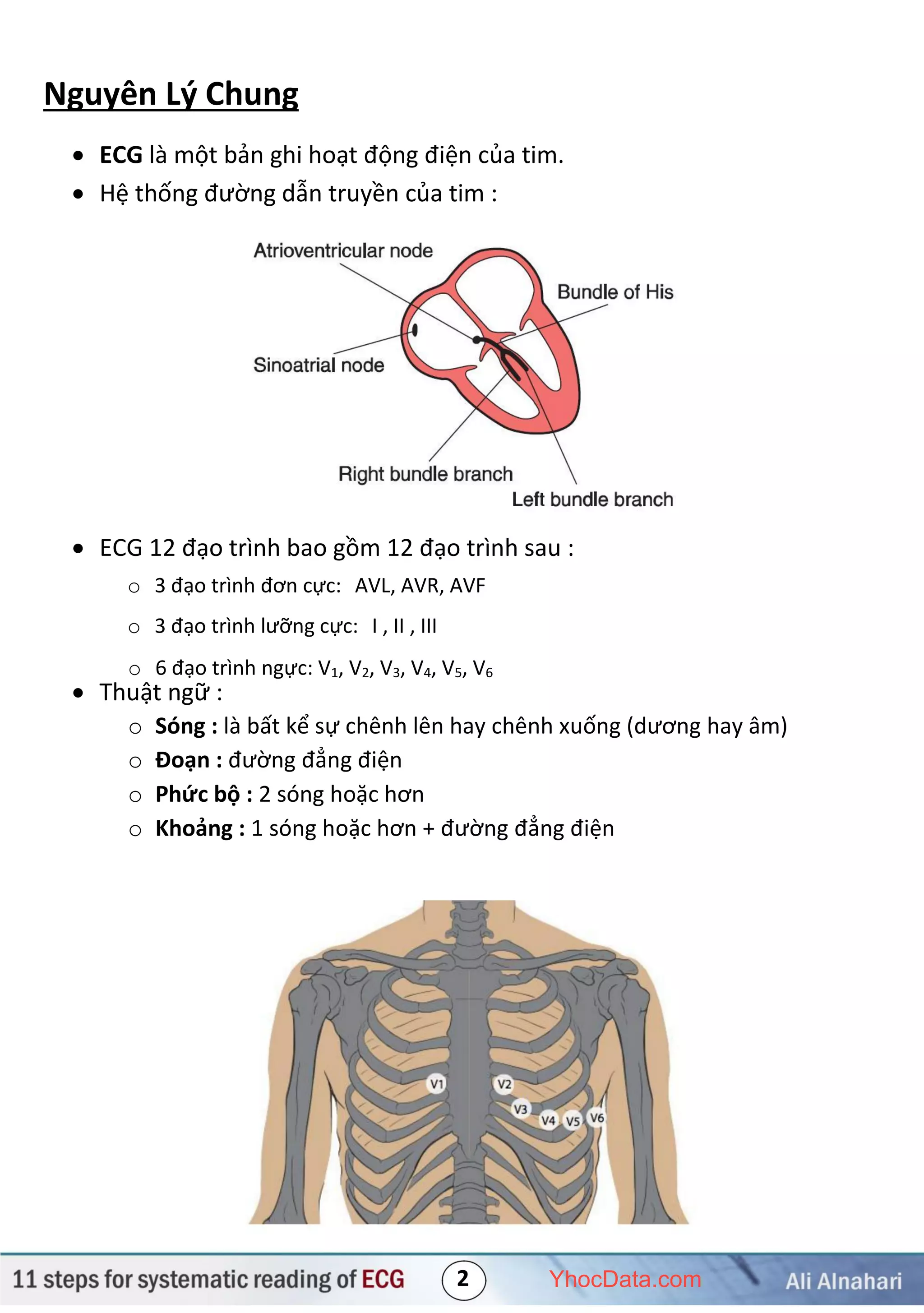 [YhocData.com] Bản Dịch 11 Bước Đọc ECG | PDF