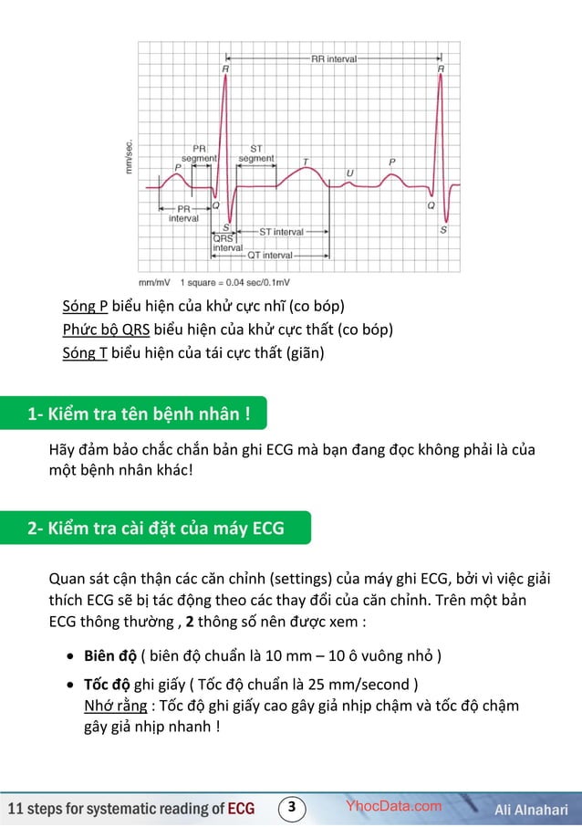 [YhocData.com] Bản Dịch 11 Bước Đọc ECG | PDF