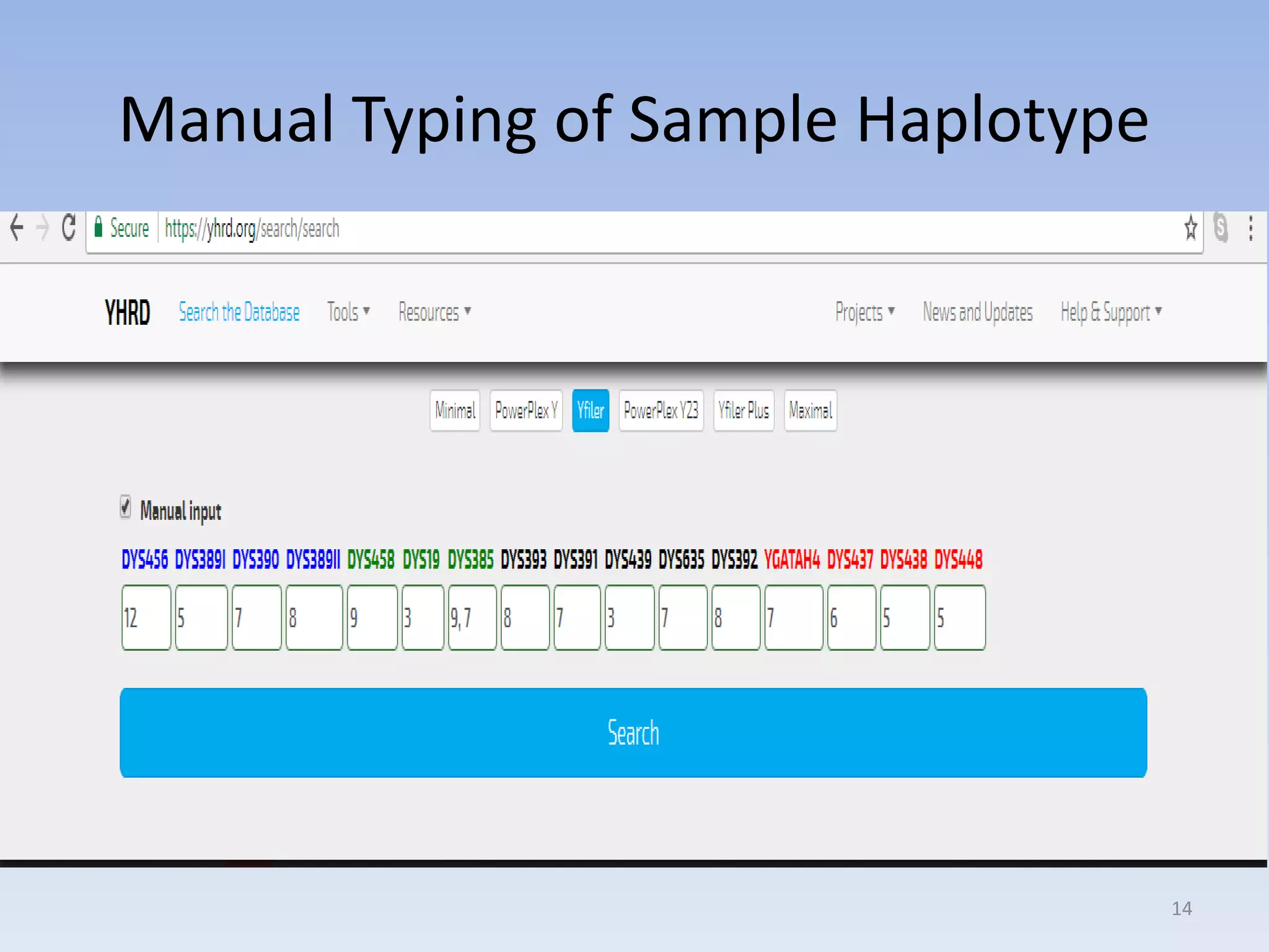 Y Chromosome Haplotype Reference Database (YHRD) ppt | PPTX