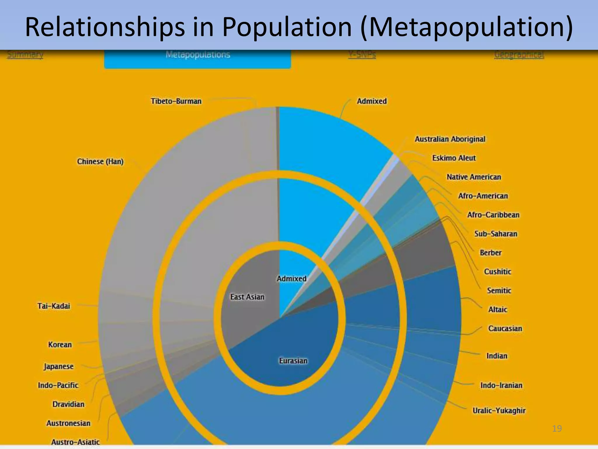 Y Chromosome Haplotype Reference Database (YHRD) ppt | PPTX