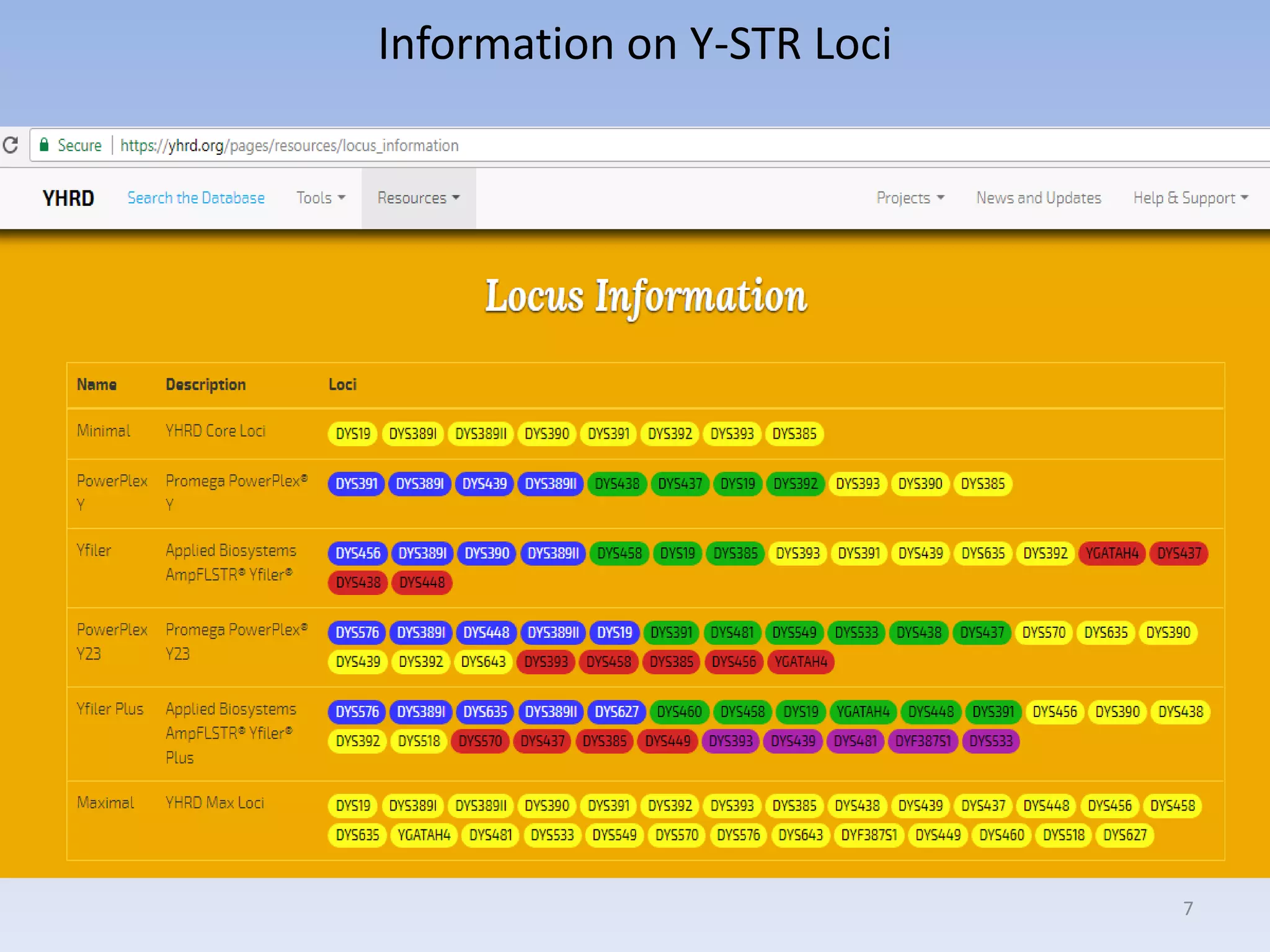 Y Chromosome Haplotype Reference Database (YHRD) ppt | PPTX