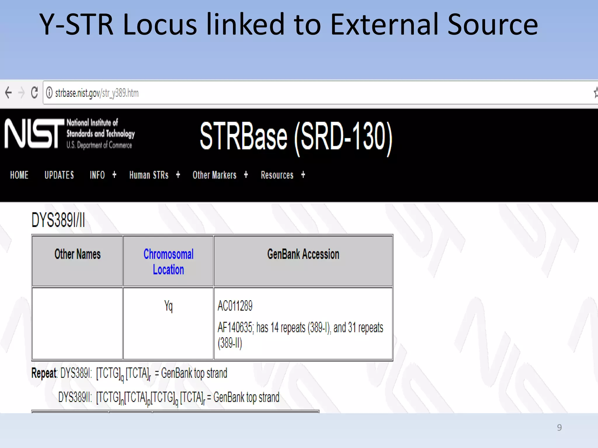 Y Chromosome Haplotype Reference Database (YHRD) ppt | PPTX